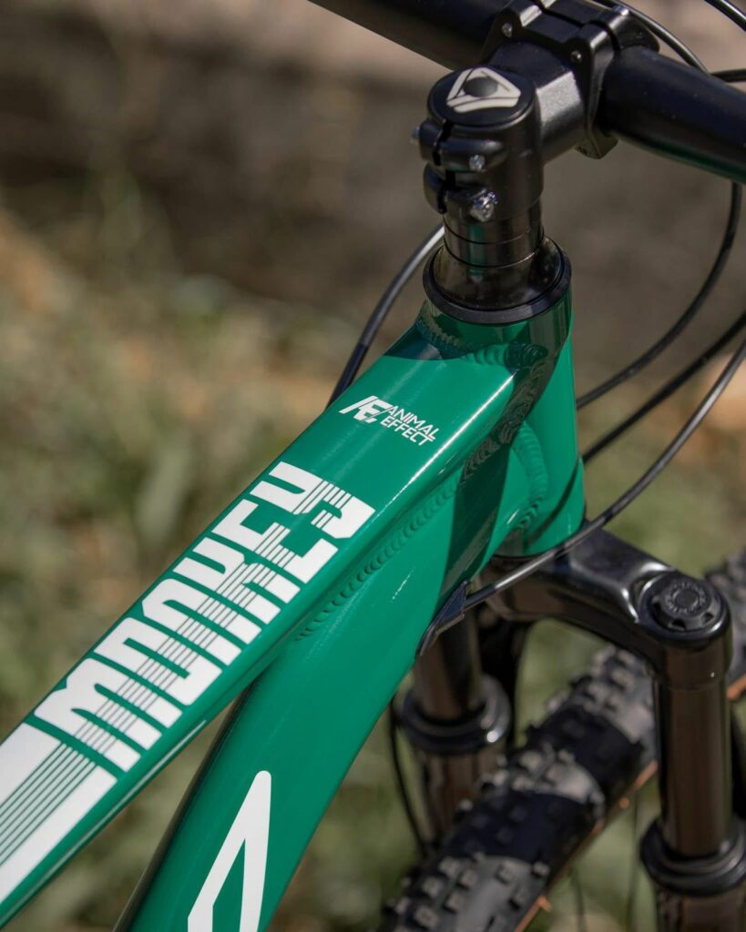 Bicicleta GW Monkey